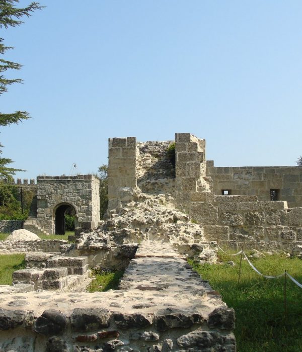 Holidays & excursions in Georgia., Tours of nature; History; Art